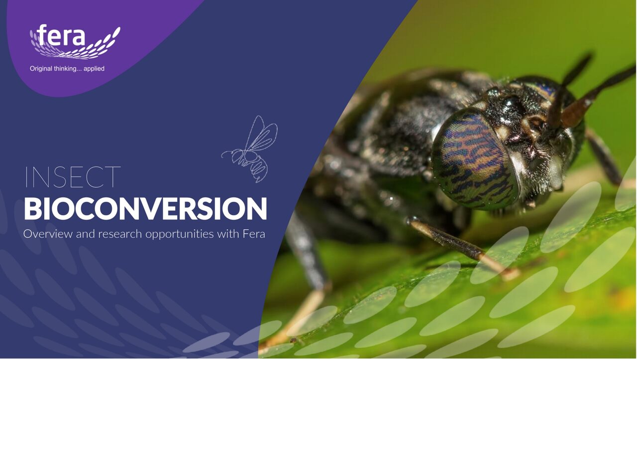 Analisi e controlli nel settore agroalimentare | Star Ecotronics